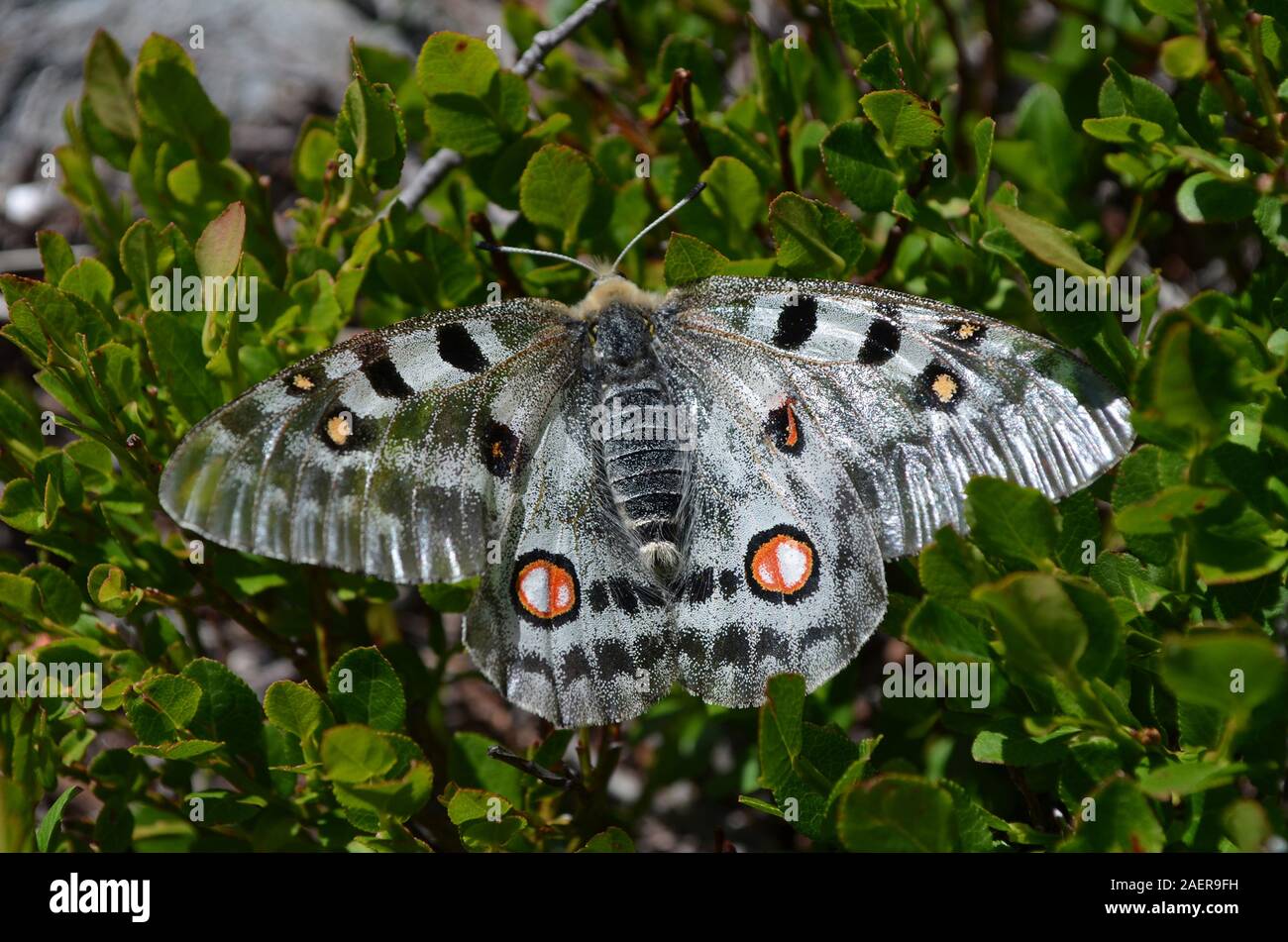 Class of pesticides hi-res stock photography and images - Alamy