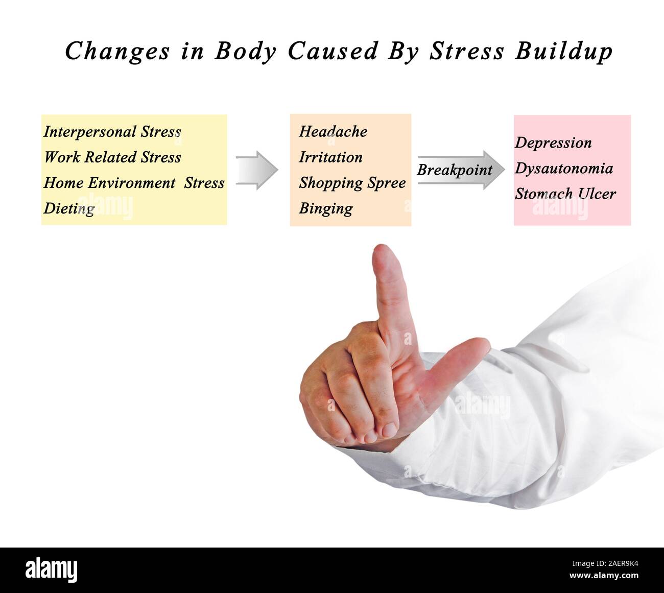 Body expert Cut Out Stock Images & Pictures - Alamy