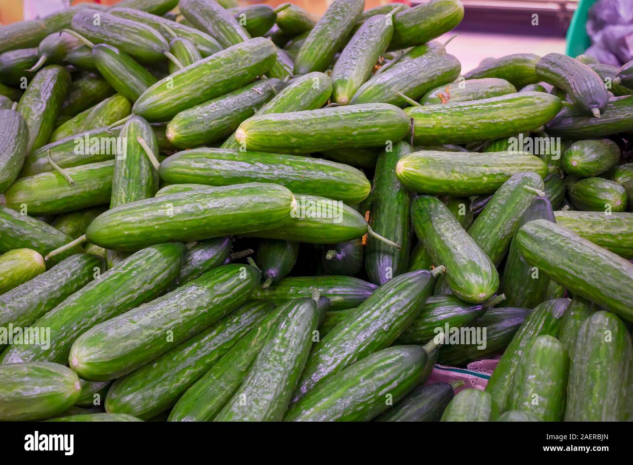 Fresh young green cucumbers. cucumbers on the shelf of the supermarket ...