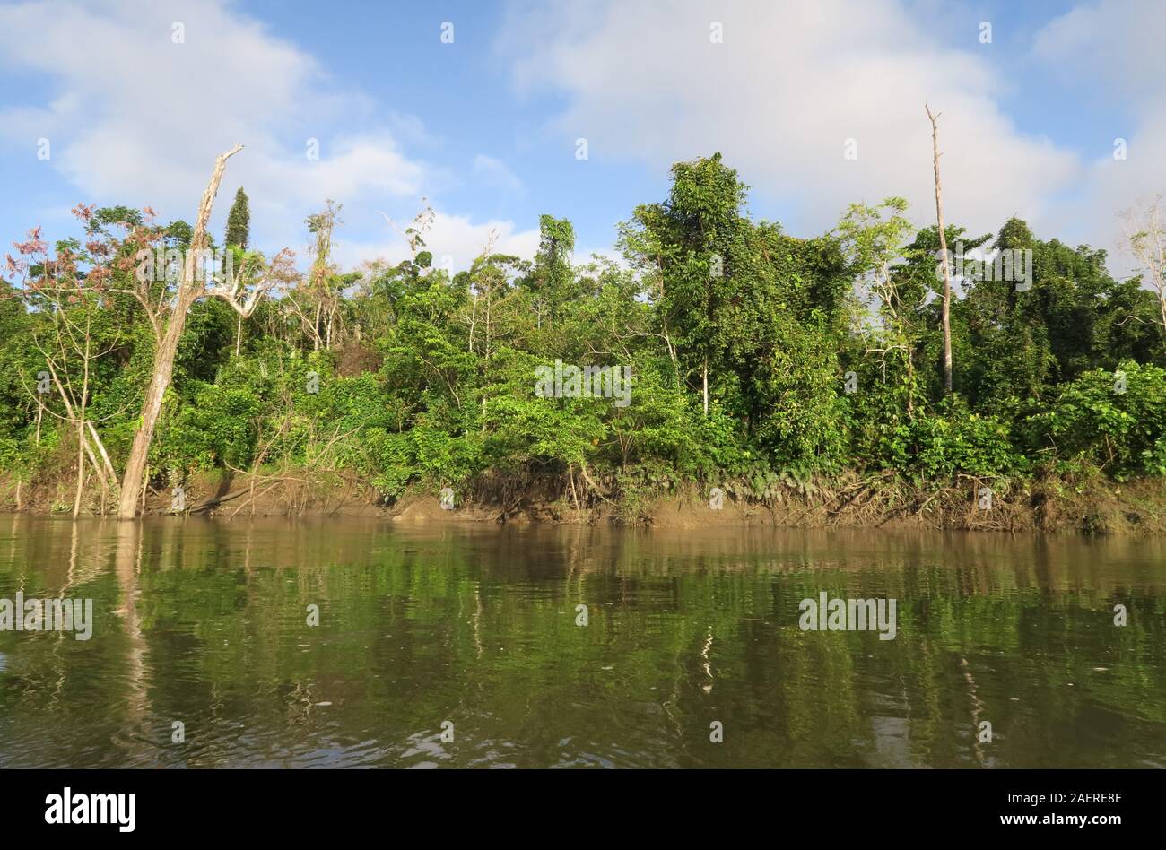 Fly river papua new guinea hi-res stock photography and images - Alamy