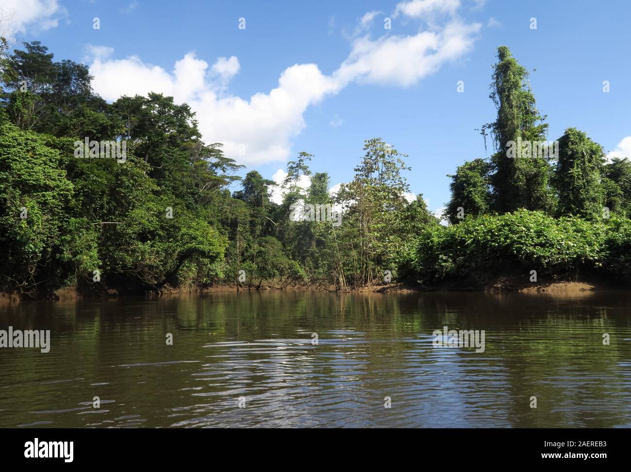 Fly river papua new guinea hi-res stock photography and images - Alamy