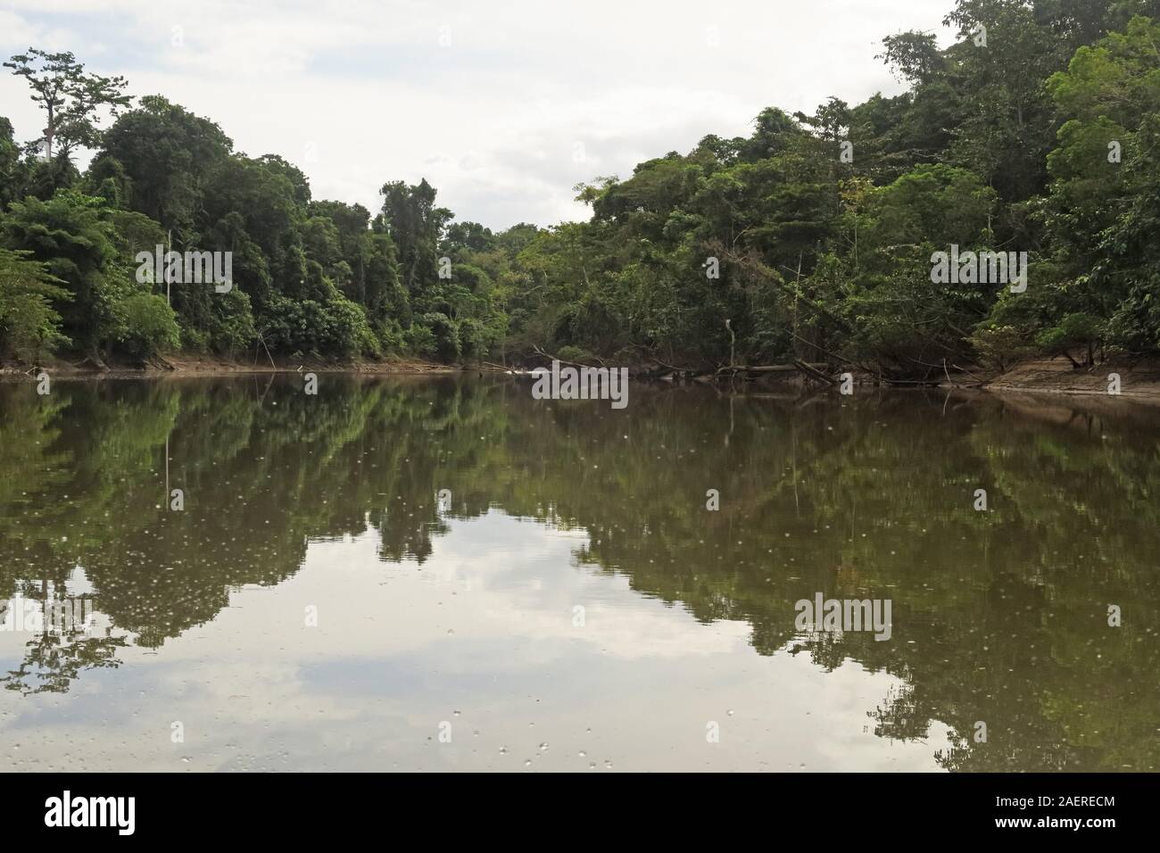 Fly river papua new guinea hi-res stock photography and images - Alamy