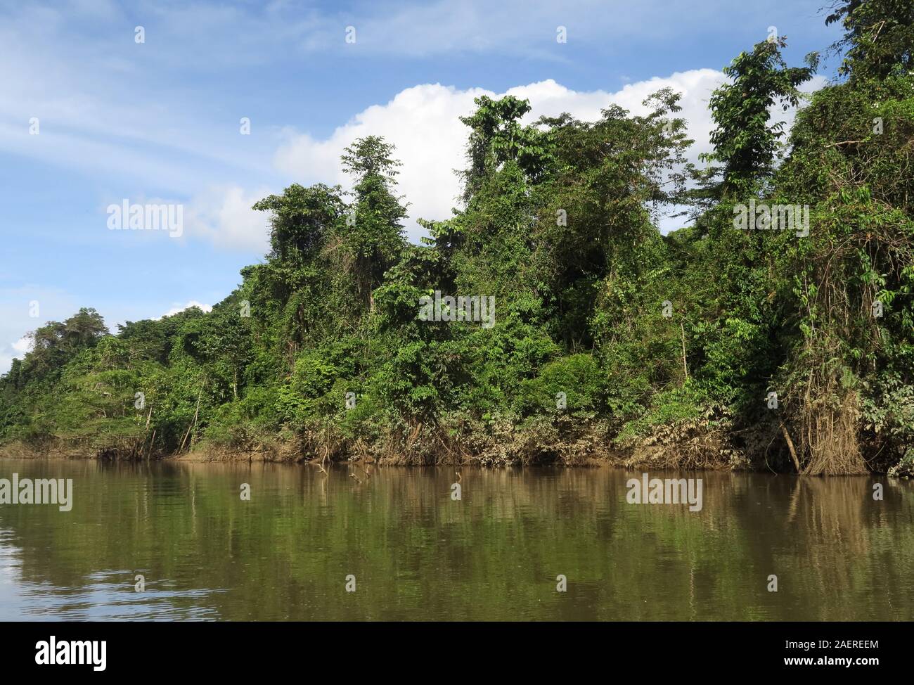 Fly river papua new guinea hi-res stock photography and images - Alamy