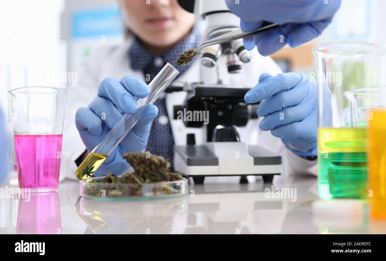 Making experiment hi-res stock photography and images - Alamy