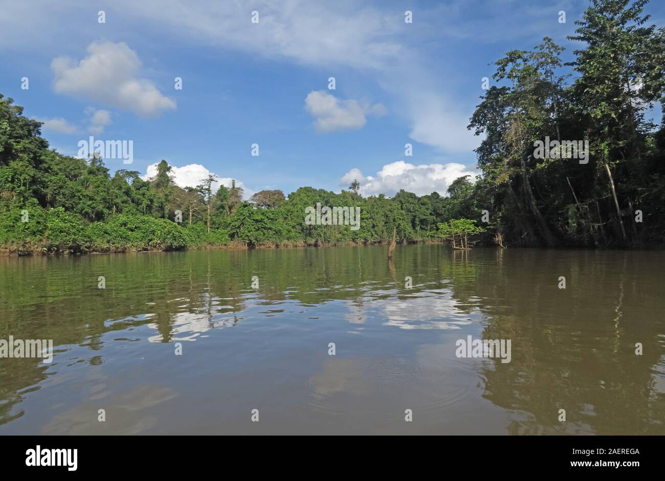 Fly river papua new guinea hi-res stock photography and images - Alamy