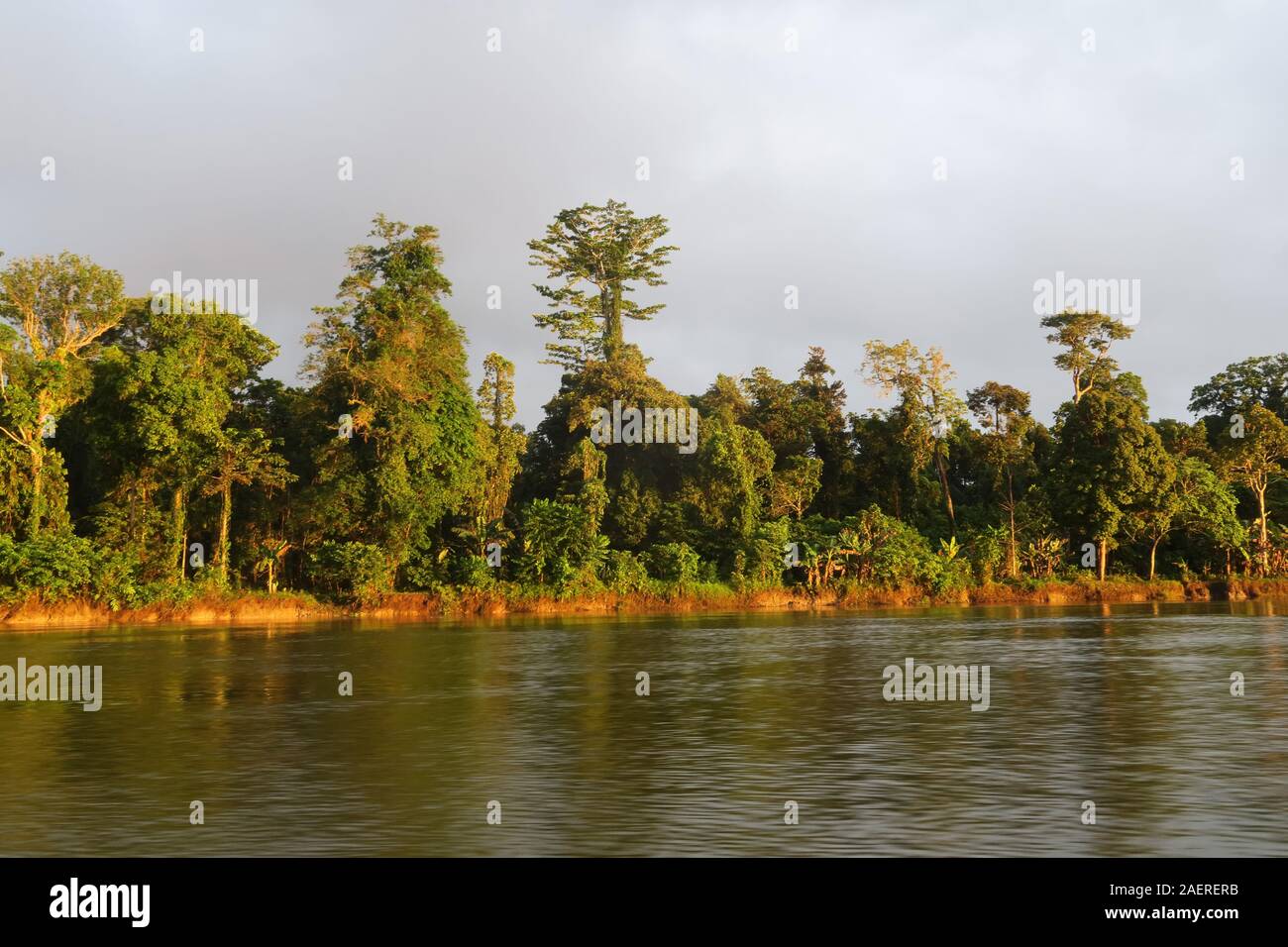Fly river papua new guinea hi-res stock photography and images - Alamy