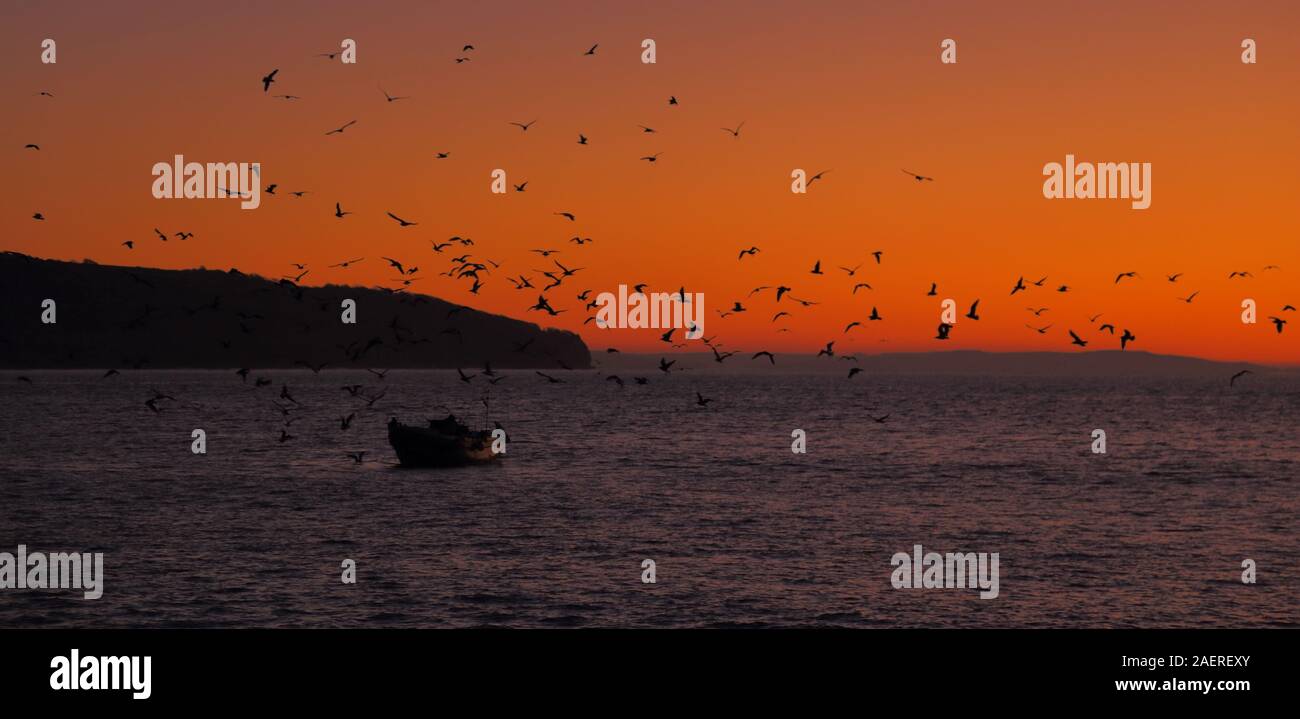 Lyme bay hi-res stock photography and images - Alamy