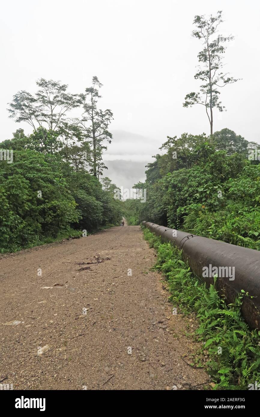 water pipe-line running along side dirt road through rainforest Tabubil ...