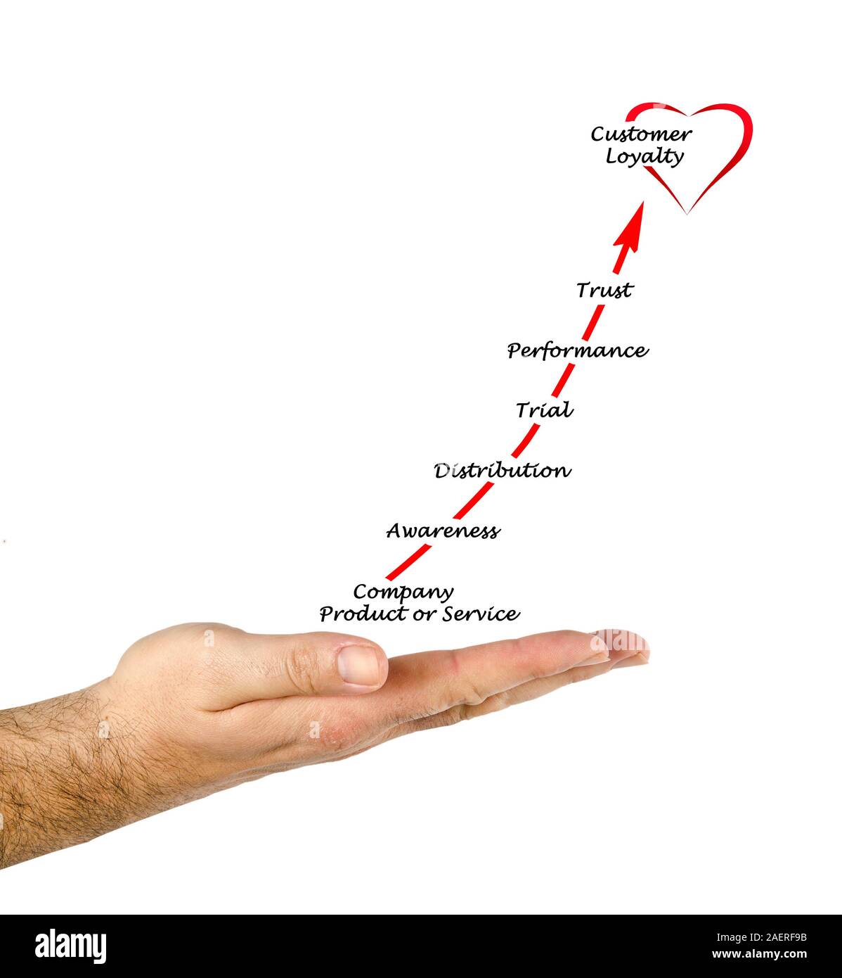 Diagram of loyalty Stock Photo - Alamy