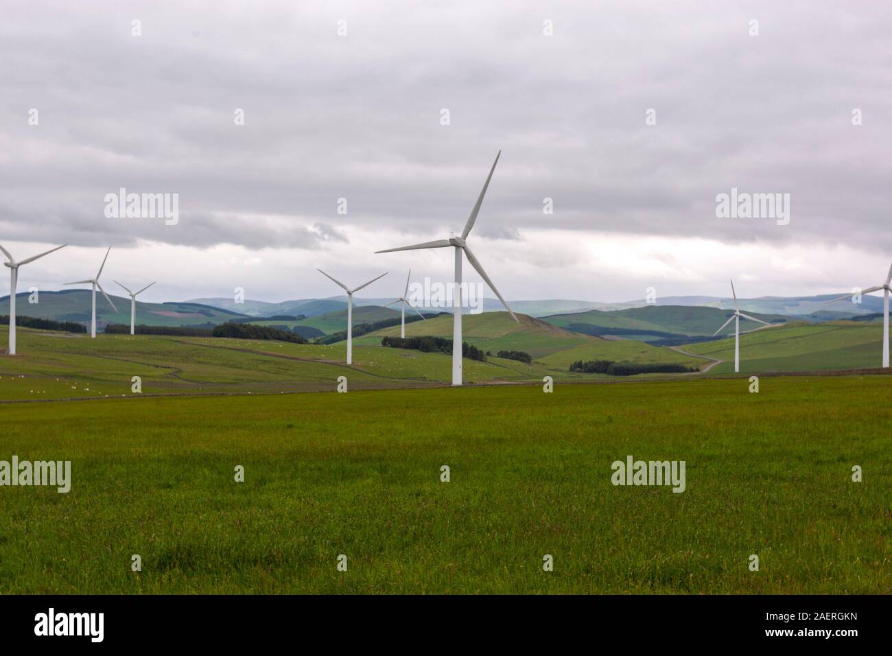 Longpark wind farm, Stow, Scottish borders, Scotland, UK Stock Photo ...