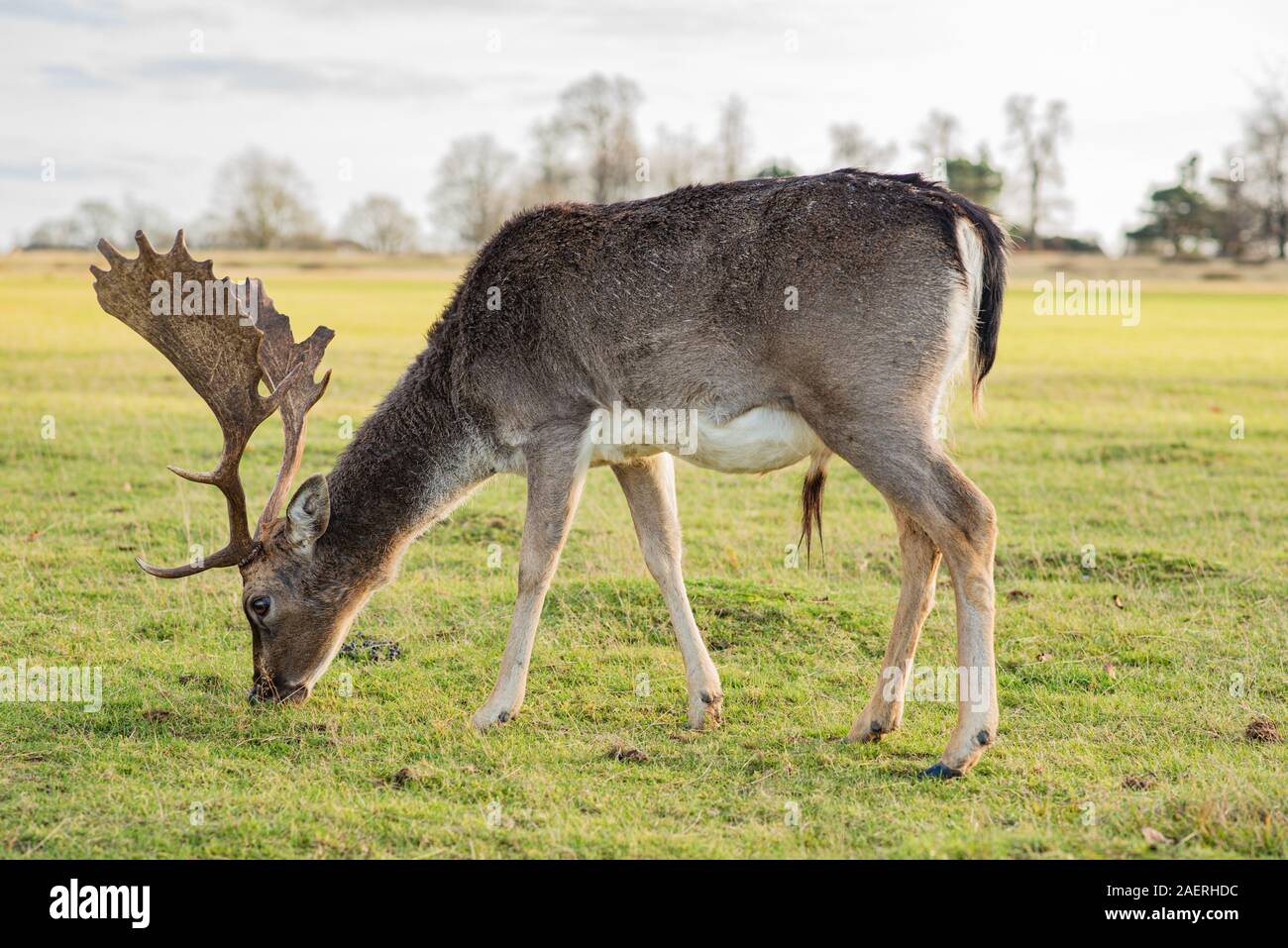Exploring texture in nature hi-res stock photography and images - Alamy