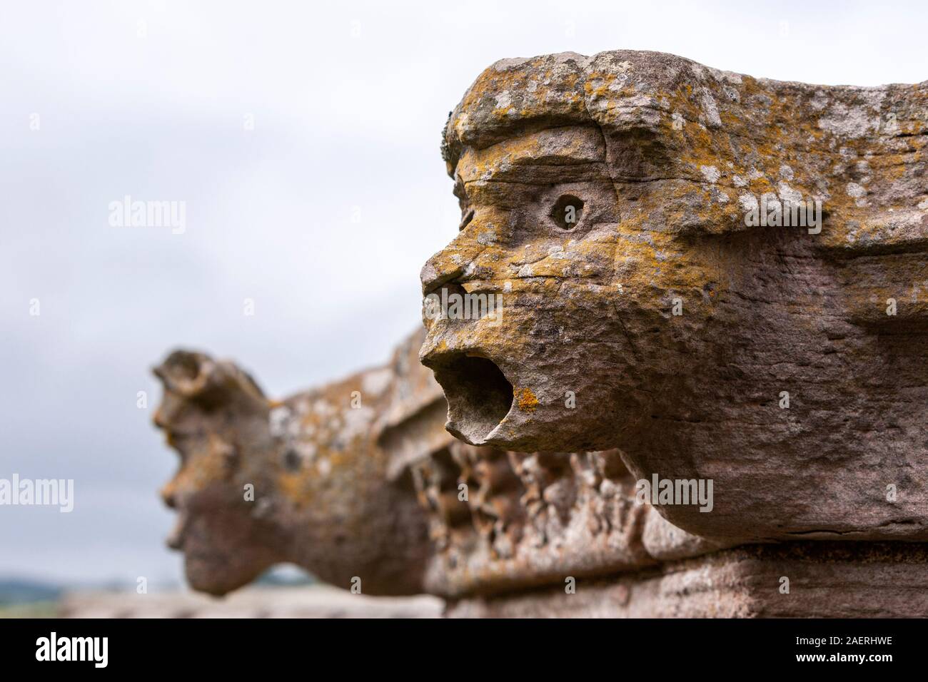 Faces Of Scotland High Resolution Stock Photography and Images - Alamy