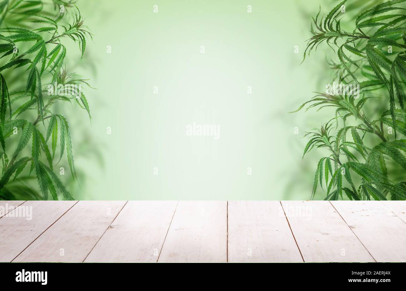 Green cannabis background, cultivation vegetation marijuana plants ...