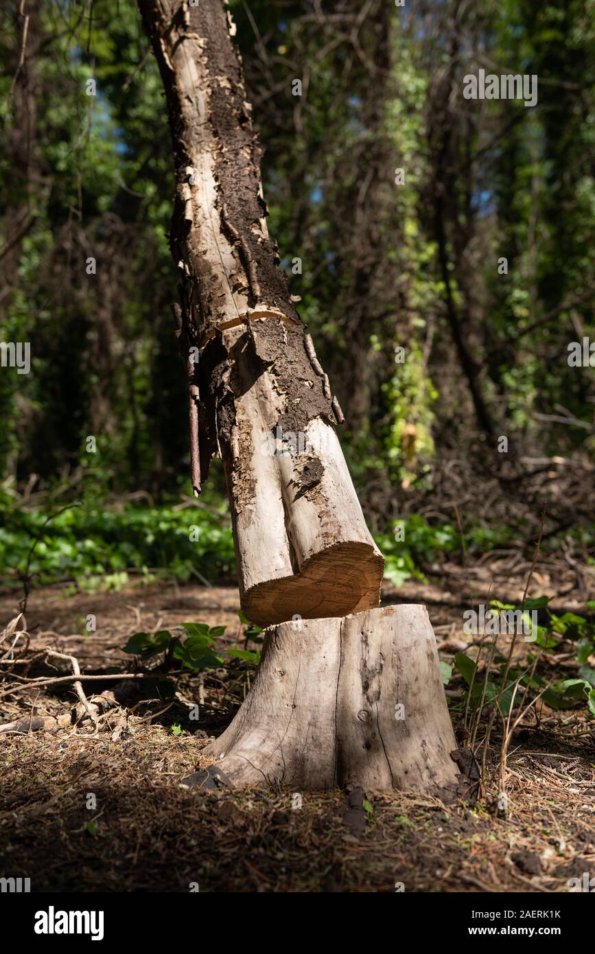 Harvester fire hi-res stock photography and images - Alamy