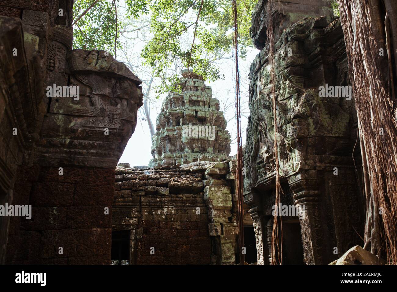 Trees grow through stones in Angkor Wat Temple in Cambodia Stock Photo ...