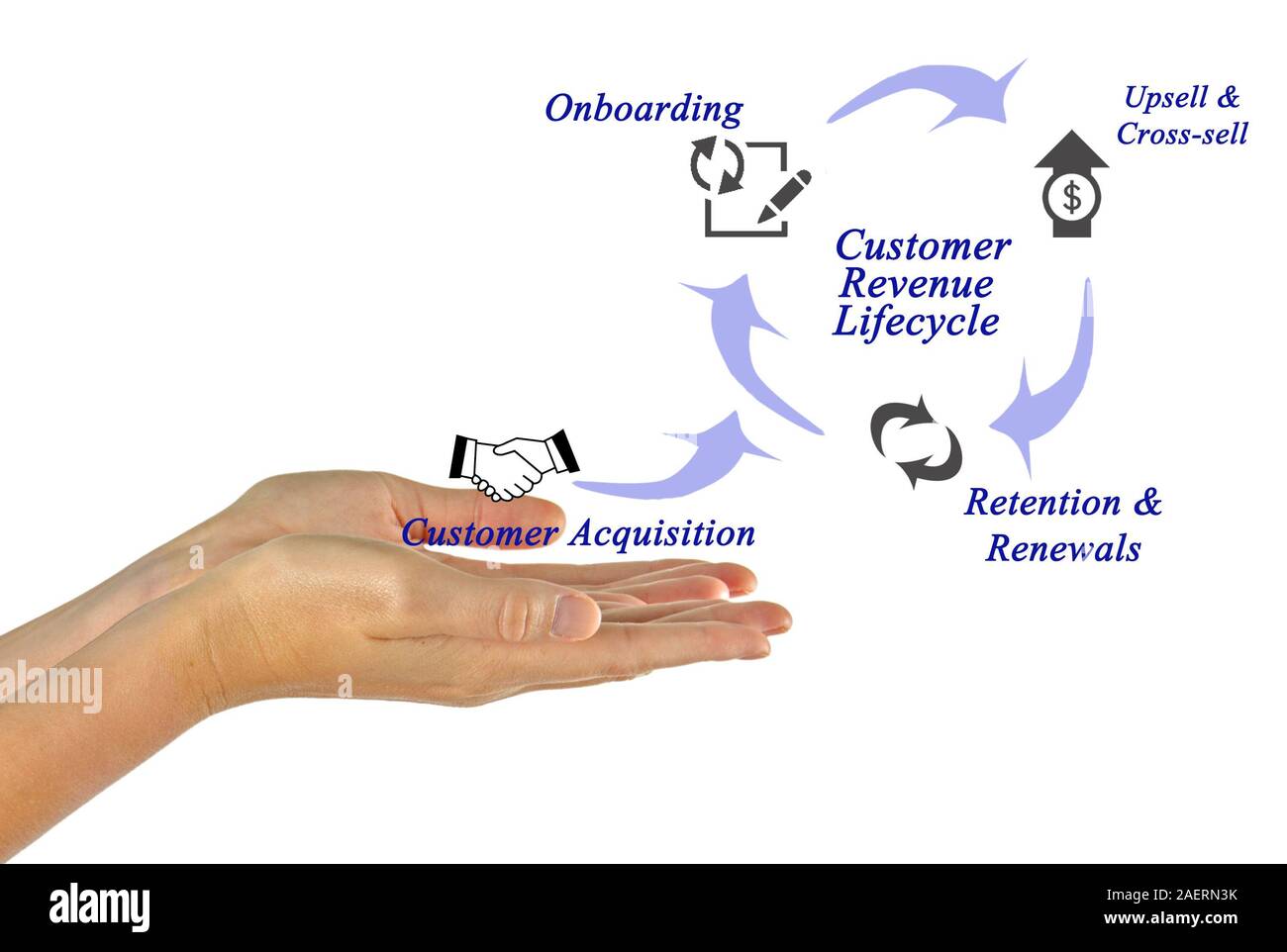 Diagram of Customer Revenue Lifecycle Stock Photo - Alamy