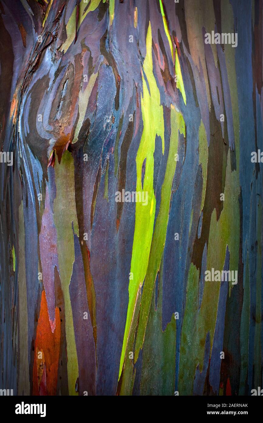 Vibrant yellow stripes hi-res stock photography and images - Alamy