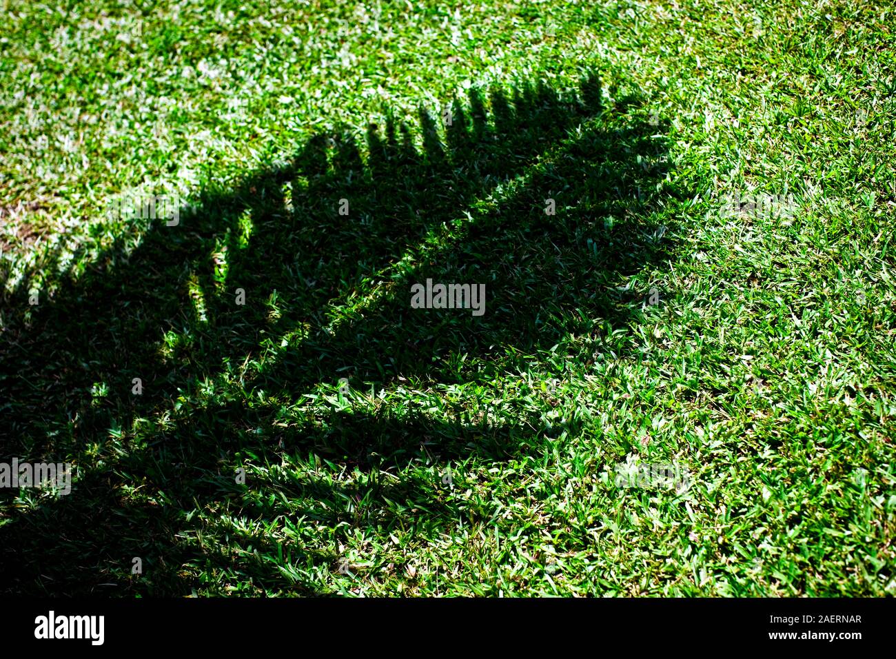 Grass shadow horizontal hi-res stock photography and images - Alamy