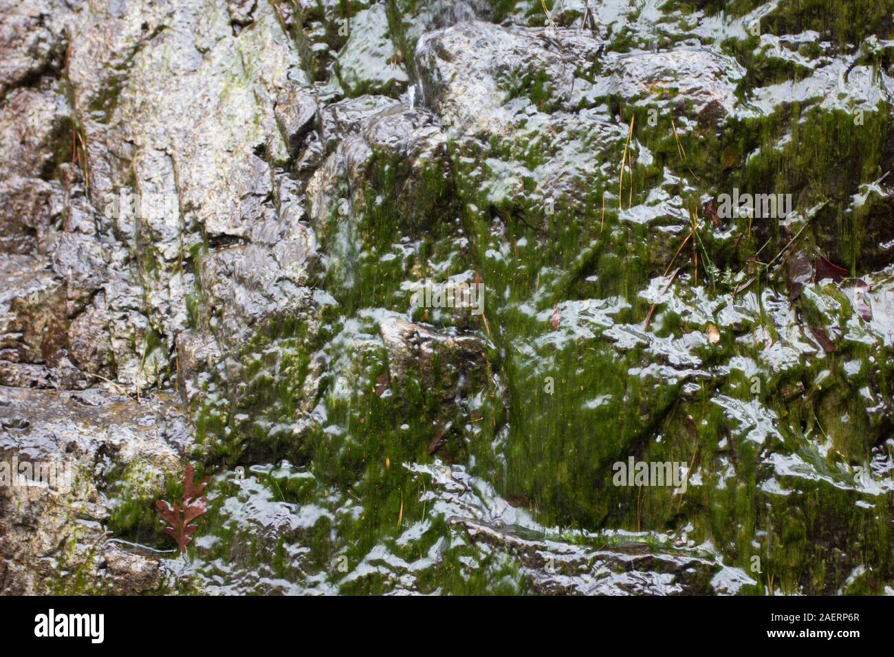 Rock Algae, Lake Catherine State Park, Arkansas Stock Photo - Alamy