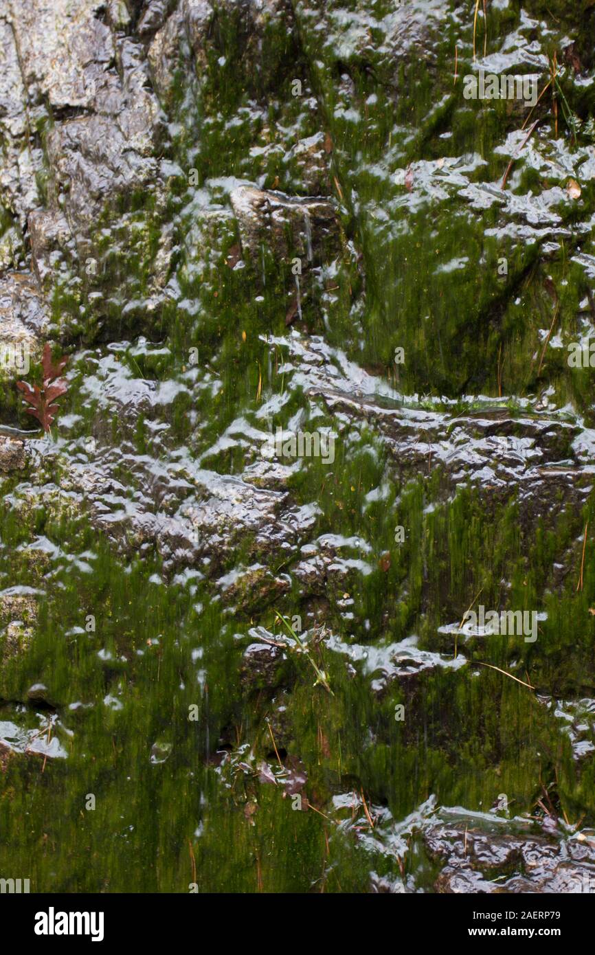 Rock Algae, Lake Catherine State Park, Arkansas Stock Photo - Alamy