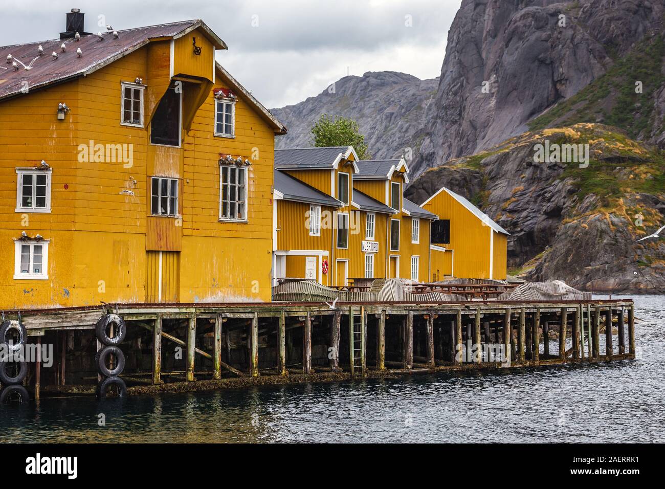 Traditional yellow wooden houses, rorbuer in the small fishing village ...
