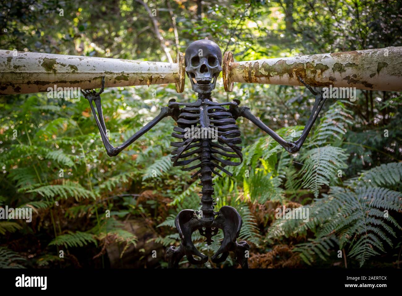 Skeleton statue hi-res stock photography and images - Alamy