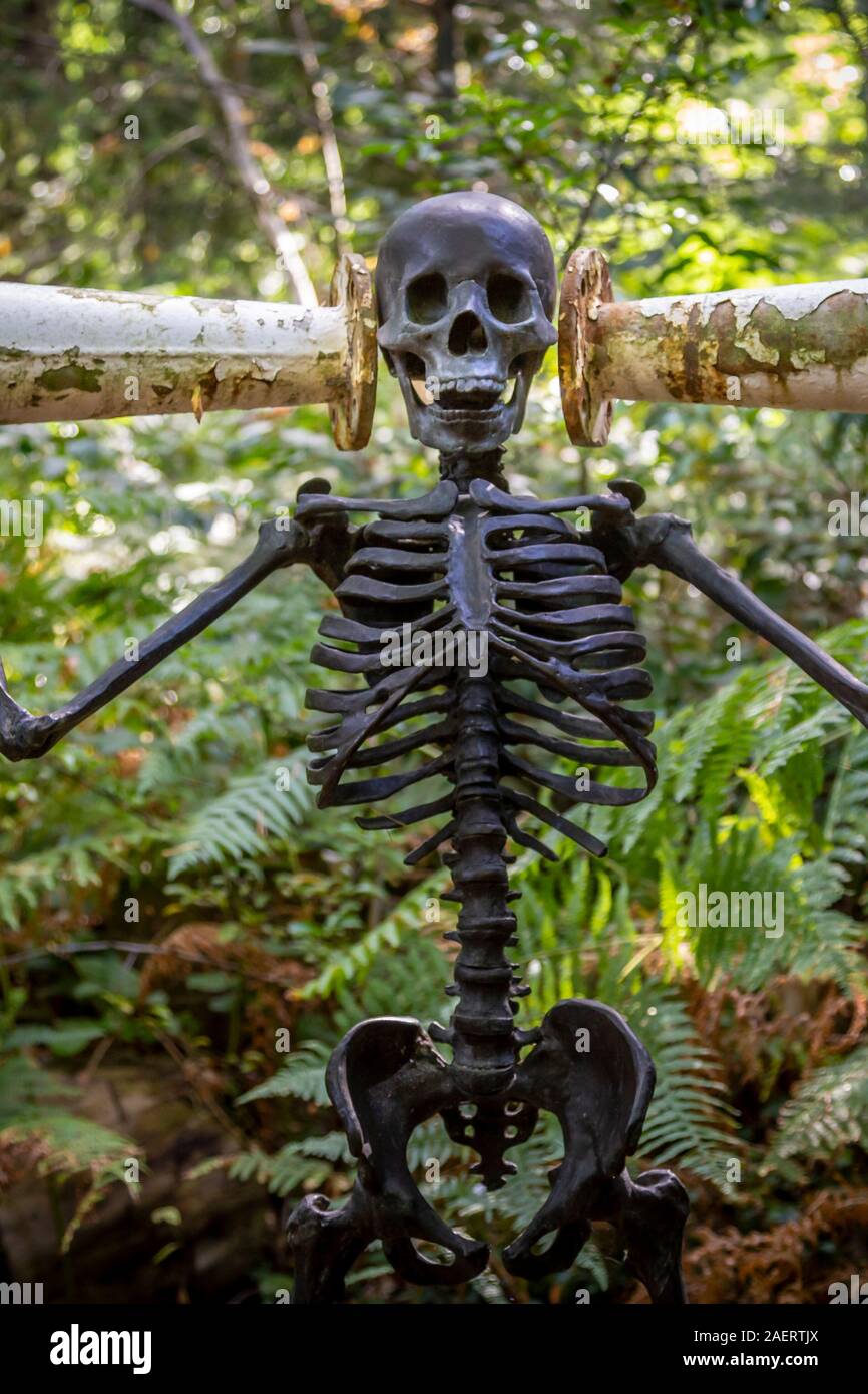Skeleton statue hi-res stock photography and images - Alamy