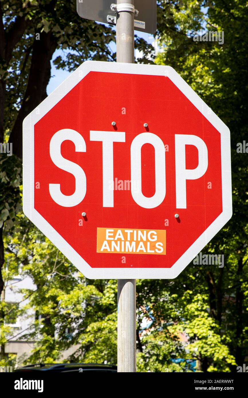 Animals Saying Stop It