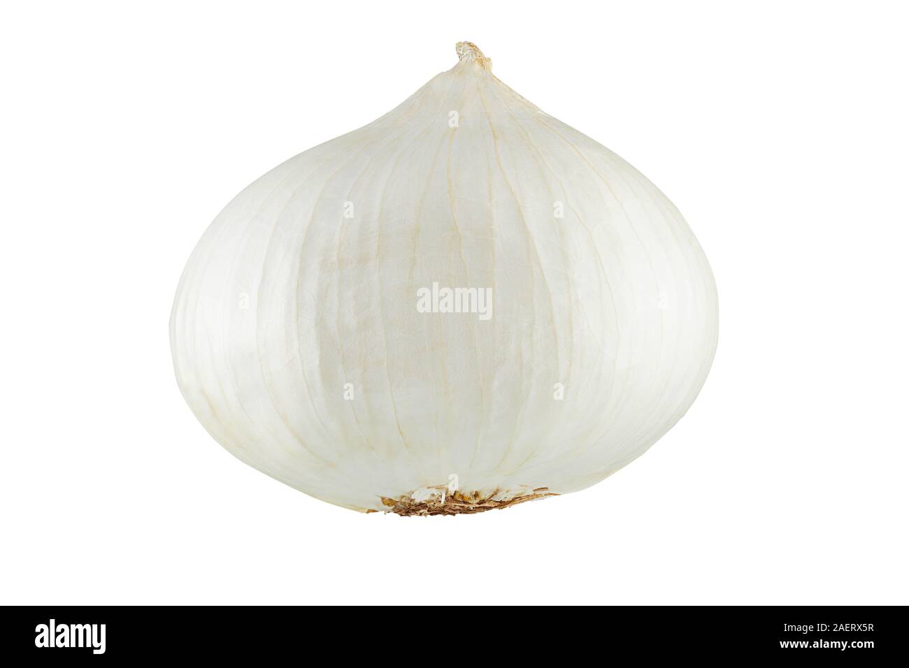 white onions isolated Stock Photo - Alamy