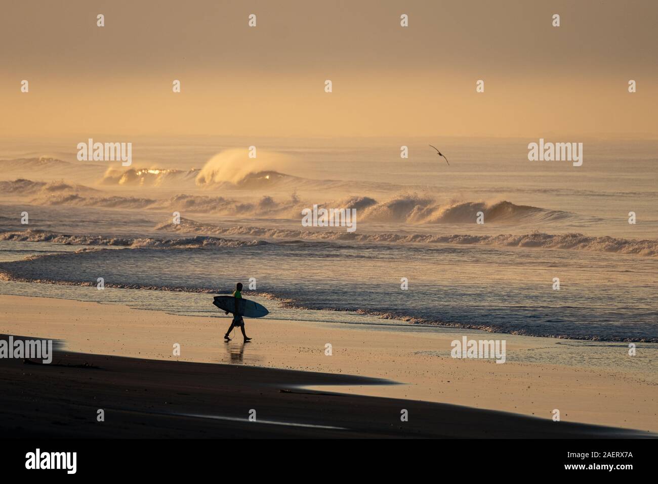 Free surf hi-res stock photography and images - Alamy