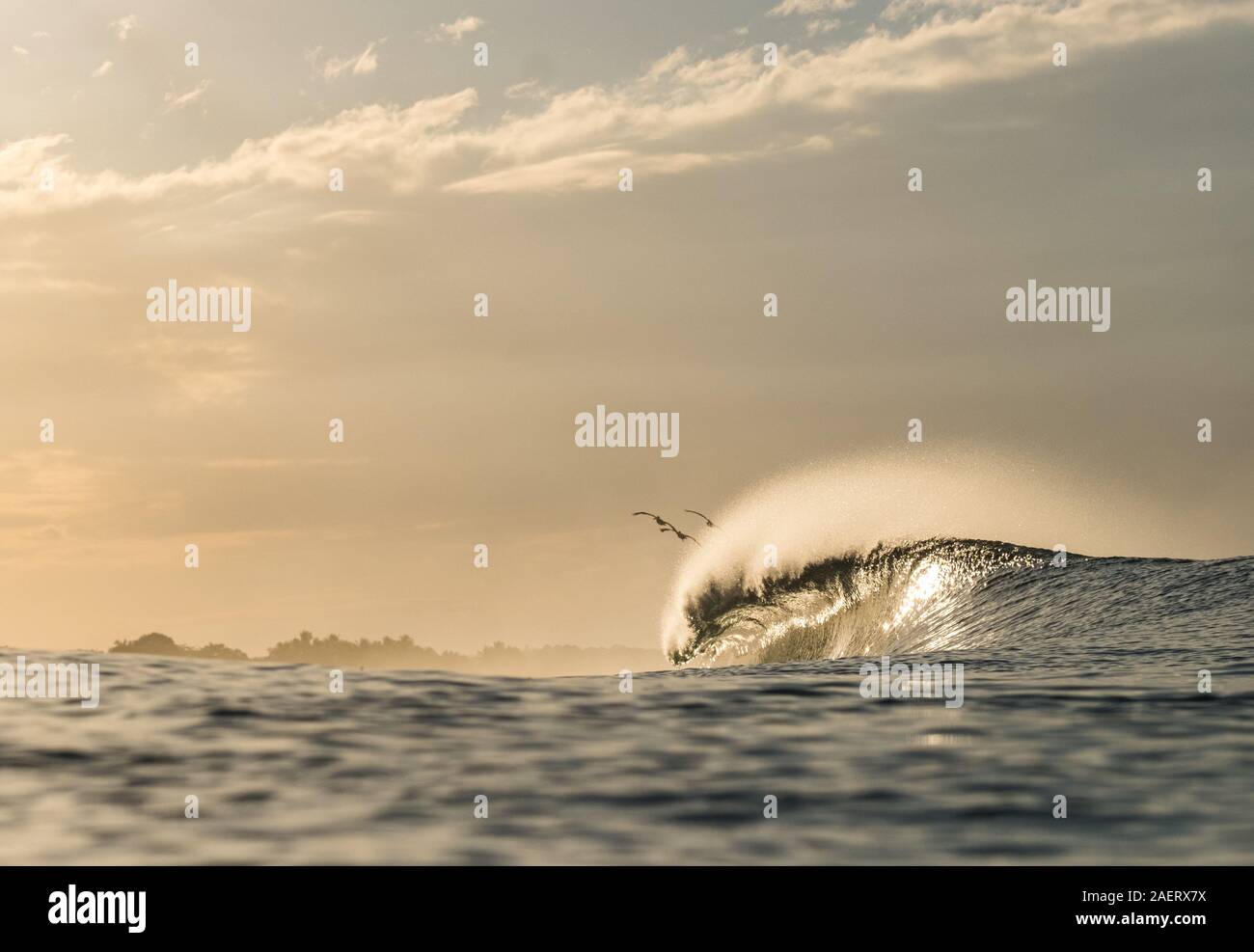 Surf costa rica morning wave hi-res stock photography and images - Alamy
