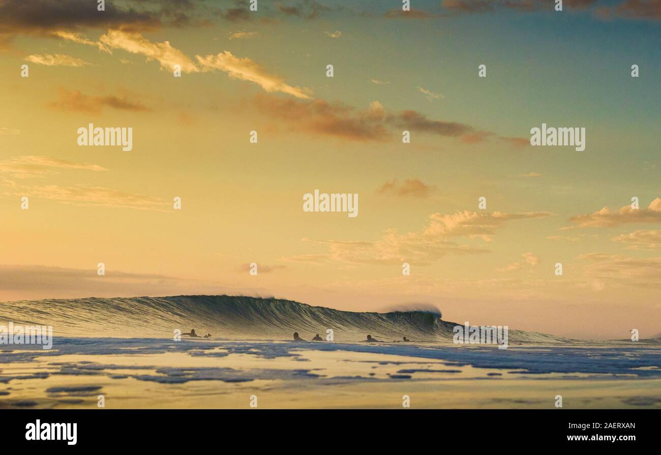A morning wave in Costa Rica Stock Photo - Alamy