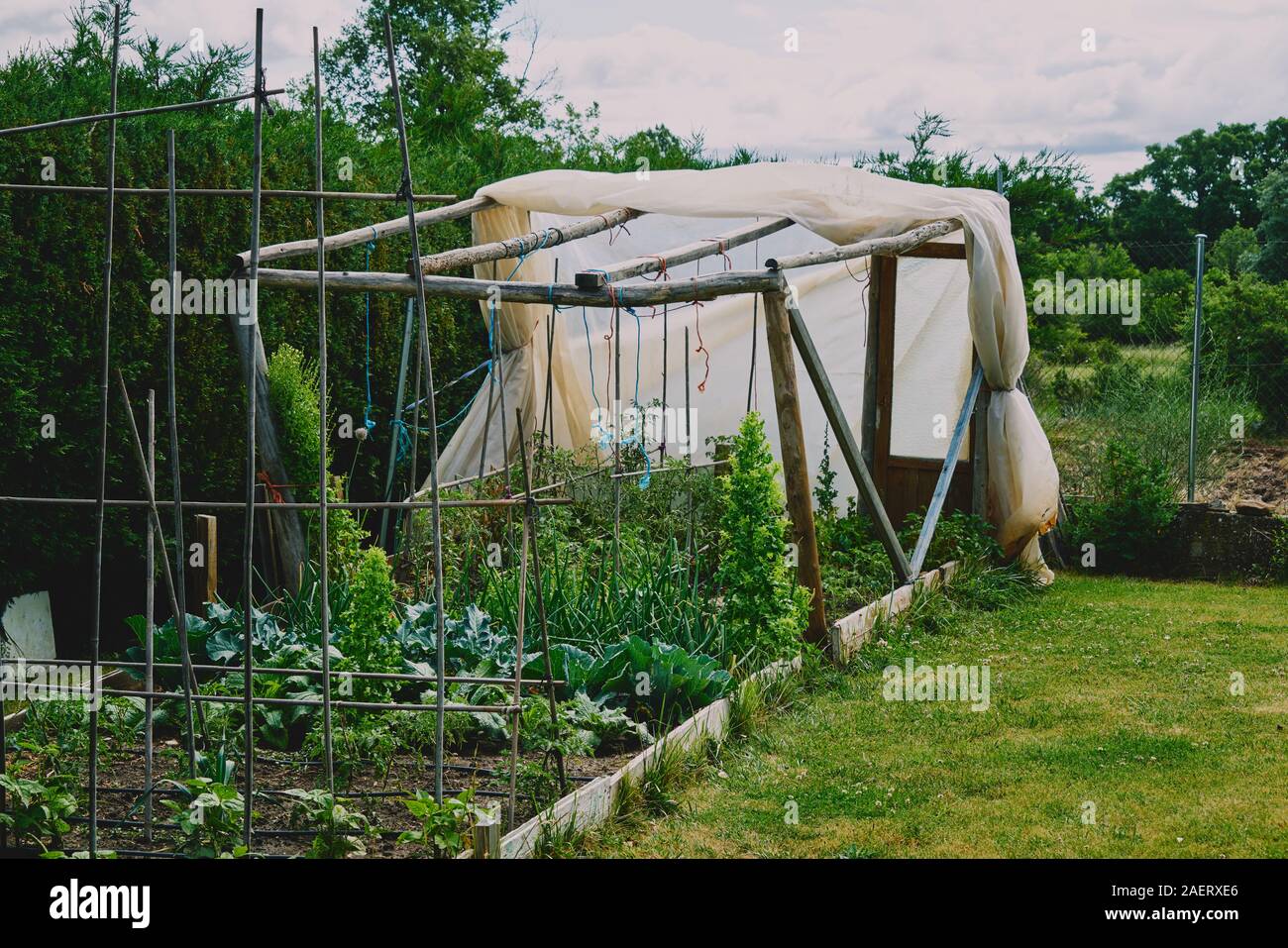 orchard with ecological orchards in a private country house next to a ...