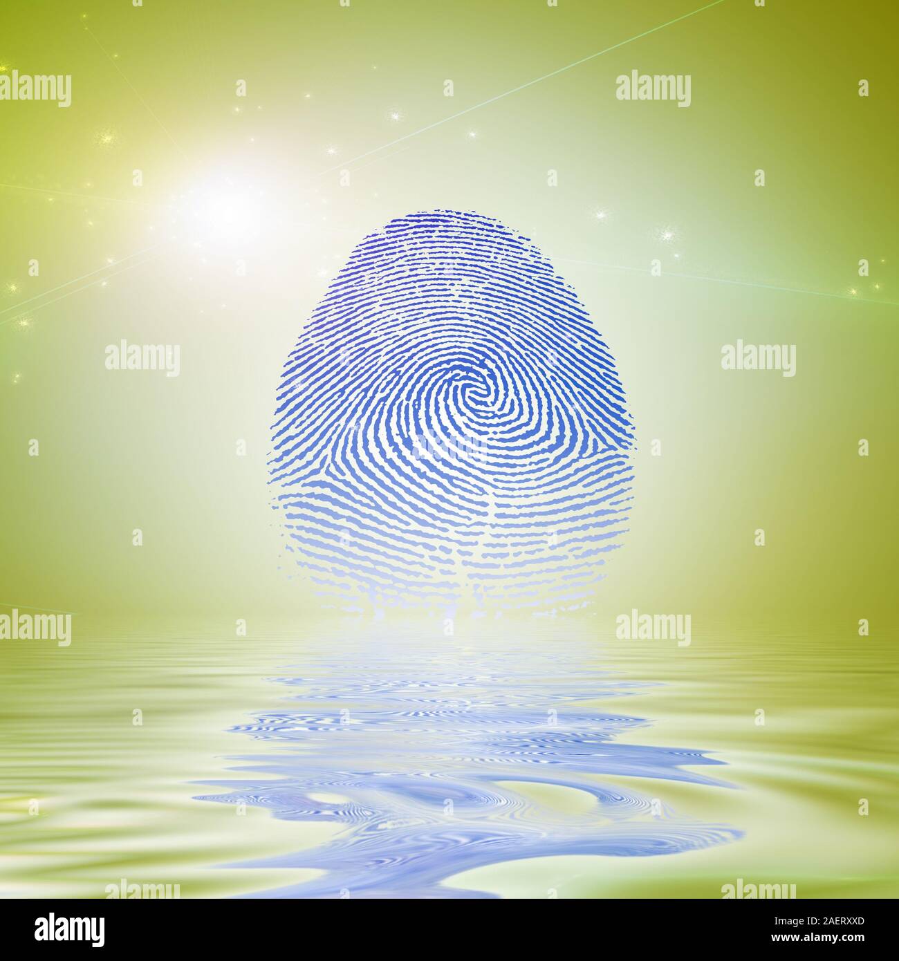 Fingerprint patterns hi-res stock photography and images - Alamy