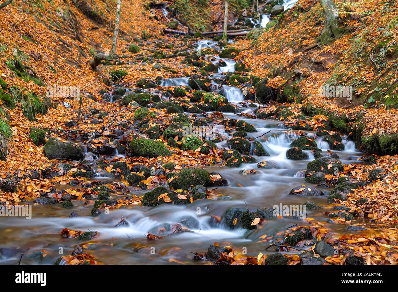 Waterfall in Yedigoller National Park, Bolu City, Turkey Stock Photo ...