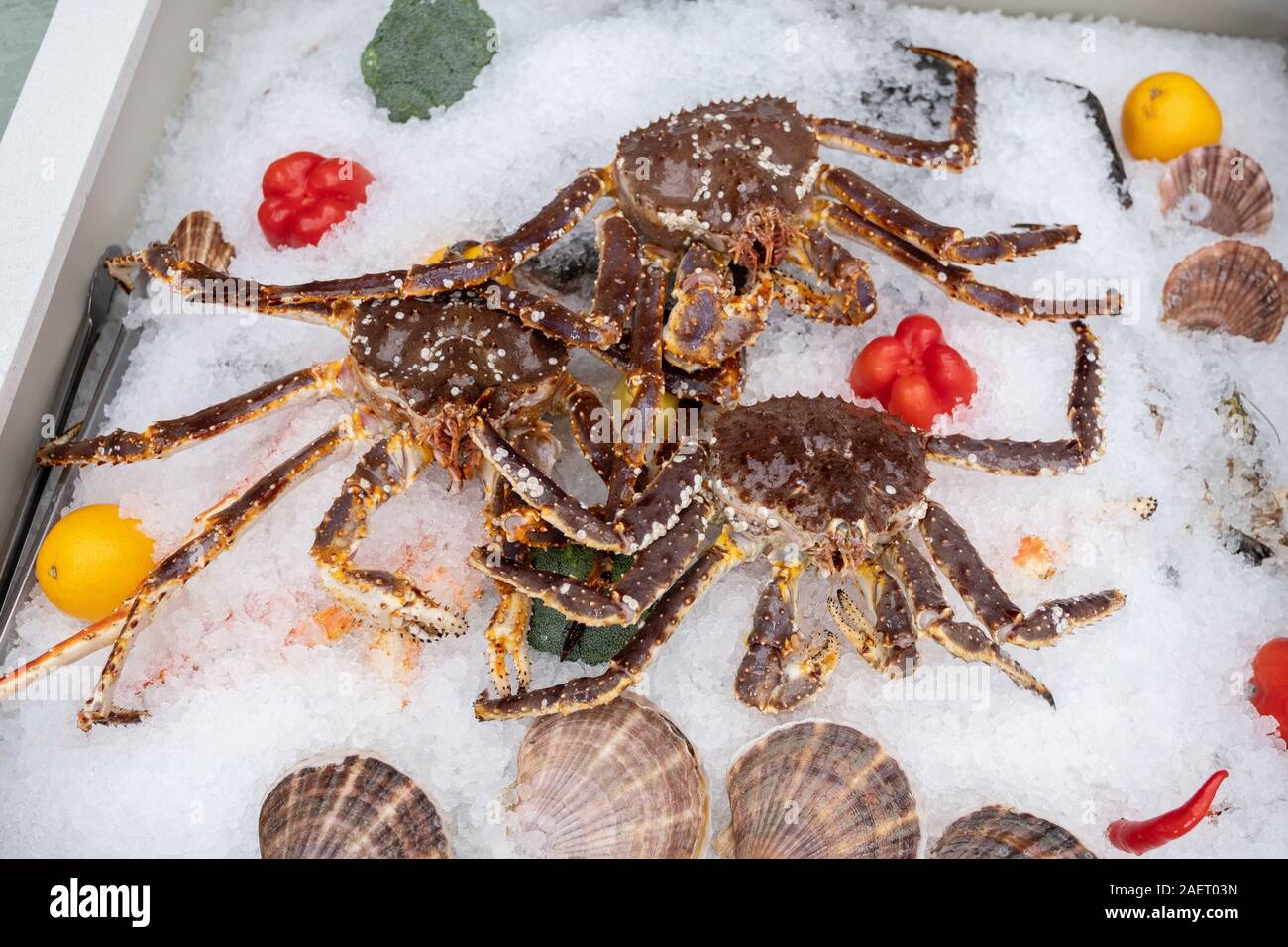 Atlantic snow crabs hi-res stock photography and images - Alamy