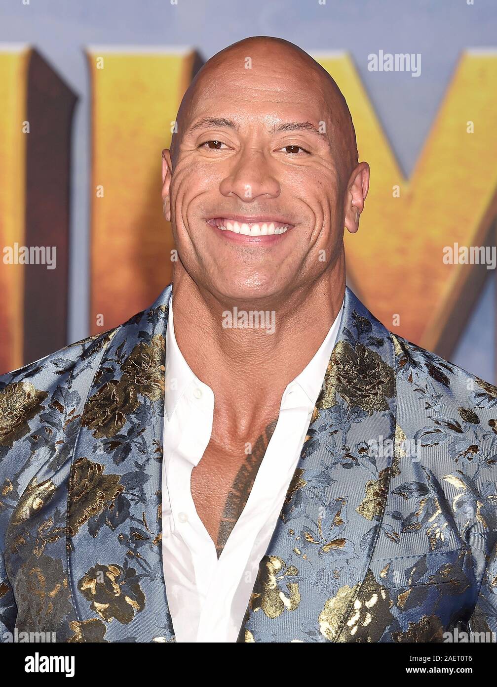 HOLLYWOOD, CA - DECEMBER 09: Dwayne Johnson attends the premiere of ...
