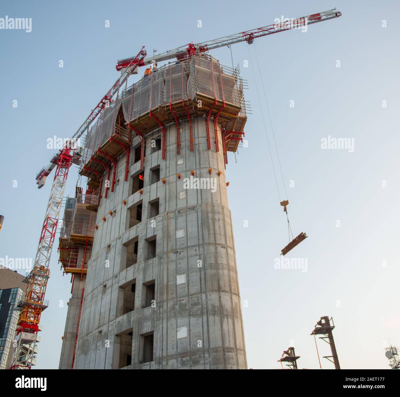 Milan Italy 4 December 2019: construction of a new library of trees in ...