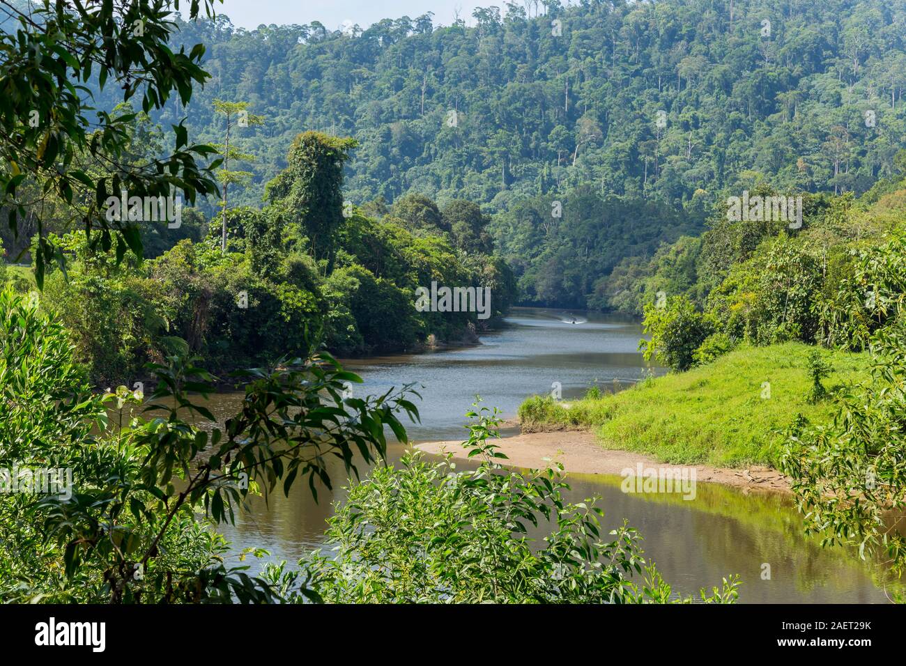 Temburong River, Virgin Rainforest, Ulu Temburong National Park, Brunei ...