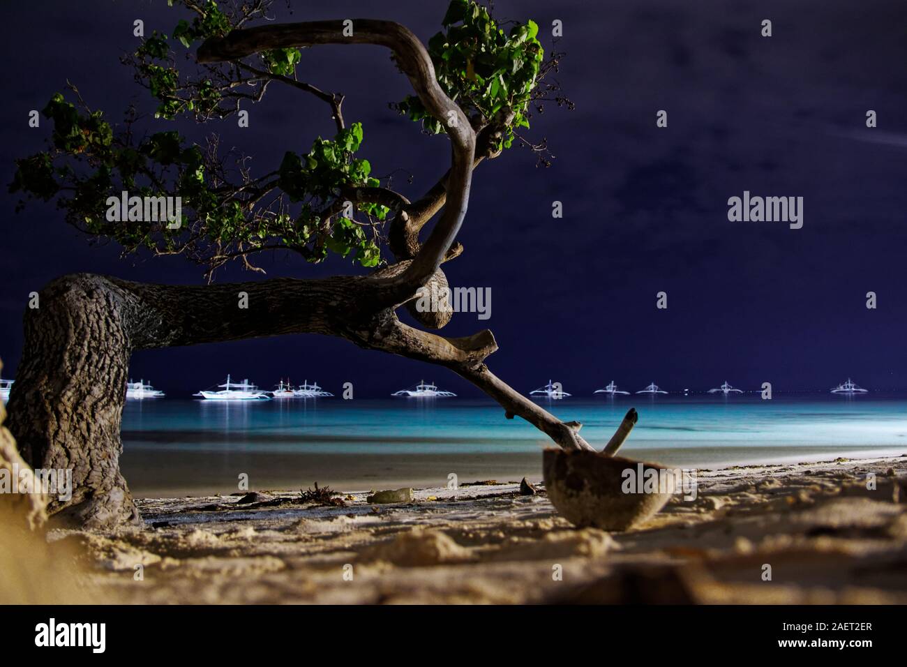 Night scape photo of bent, solitaire tree, growing on the edge of ...