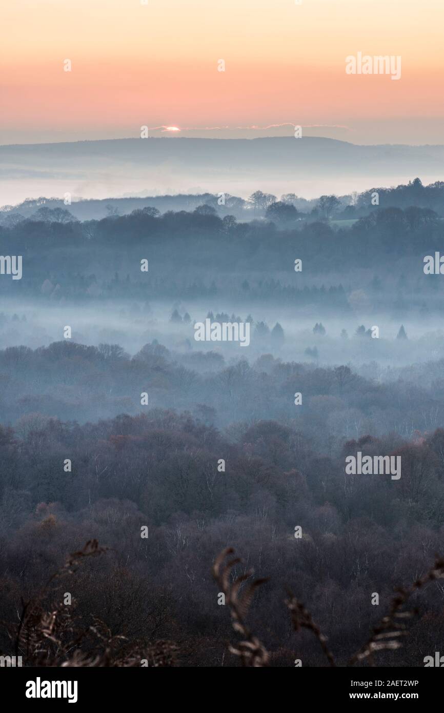 Woolbeding common west sussex hi-res stock photography and images - Alamy