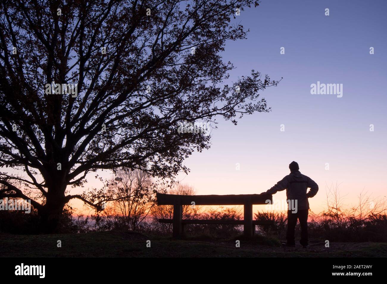 Man sitting beside tree hi-res stock photography and images - Alamy