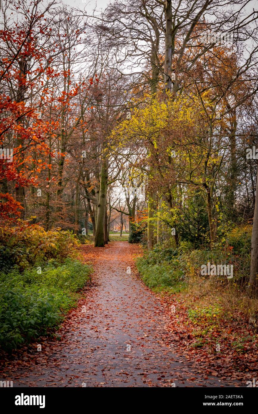 beautiful colors of park in autumn fall season portrait orientation ...