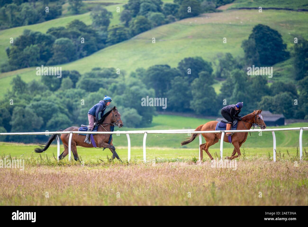 Matching vests hi-res stock photography and images - Alamy