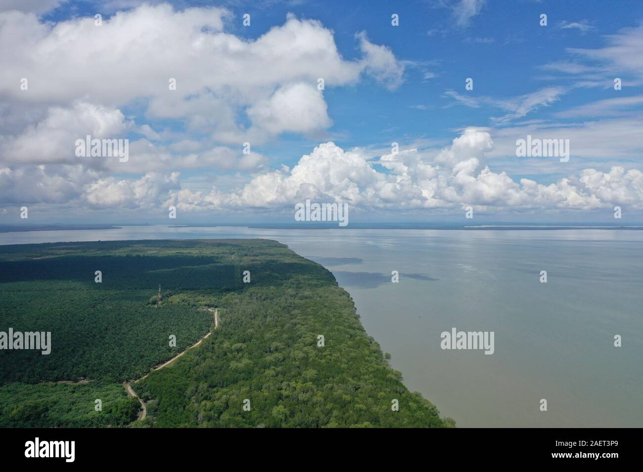 Aerial view of mangrove forest Stock Photo - Alamy