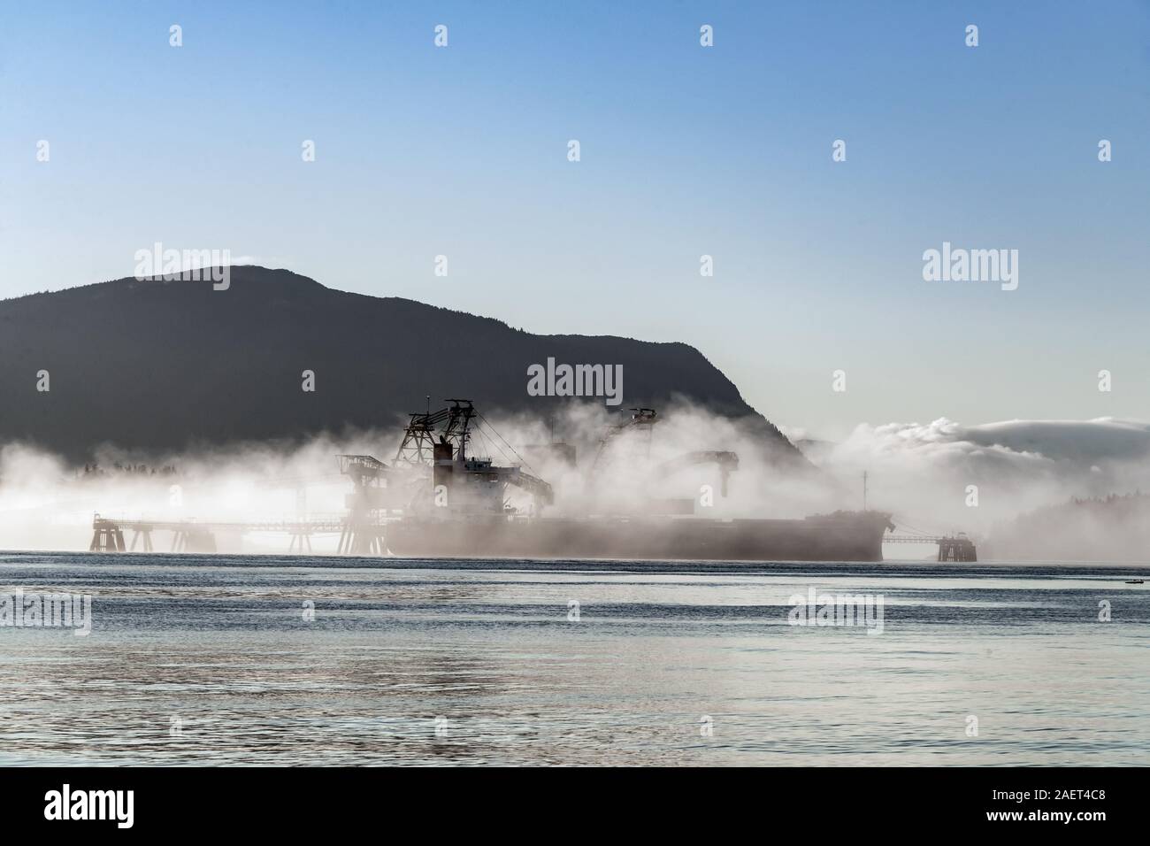 Bulk carrier 'Lake Dawn' in the fog at the Ridley coal terminal, Ridley ...