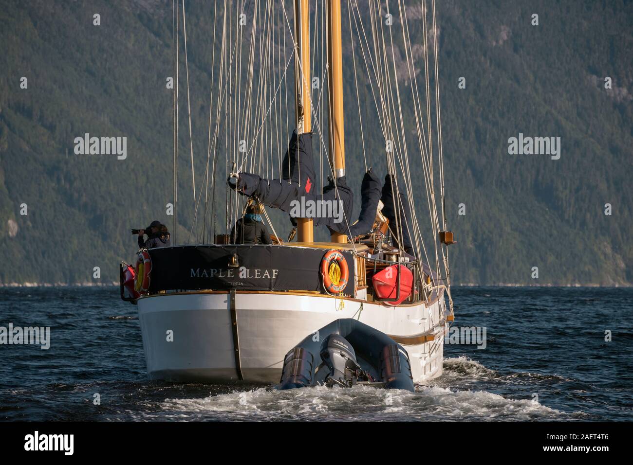 Whale watching from schooner 'Maple Leaf', Whale Channel, Hartley Bay ...