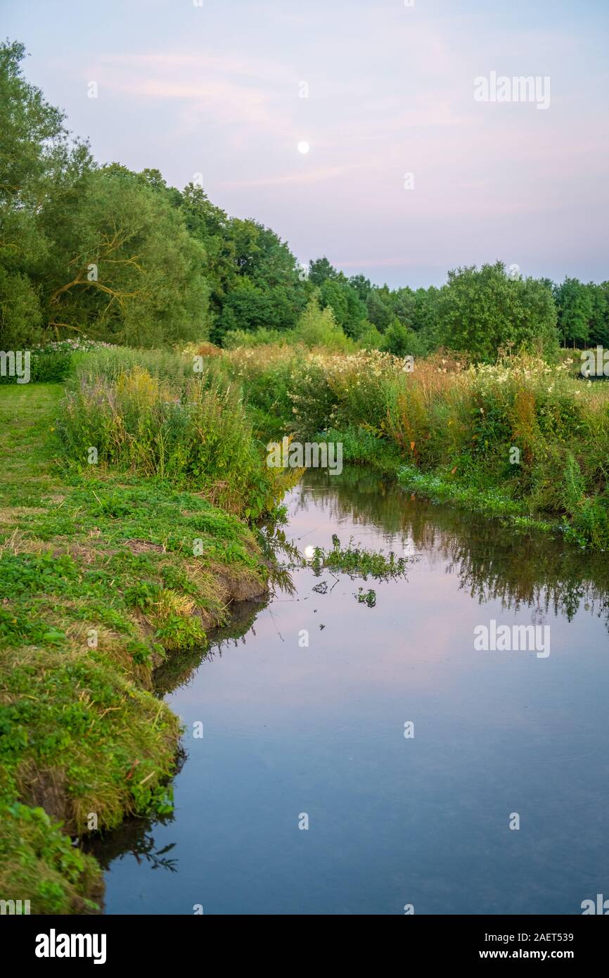 Yorkshire small pond hi-res stock photography and images - Alamy