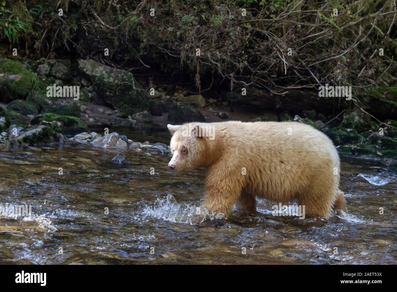 Verney passage hi-res stock photography and images - Alamy