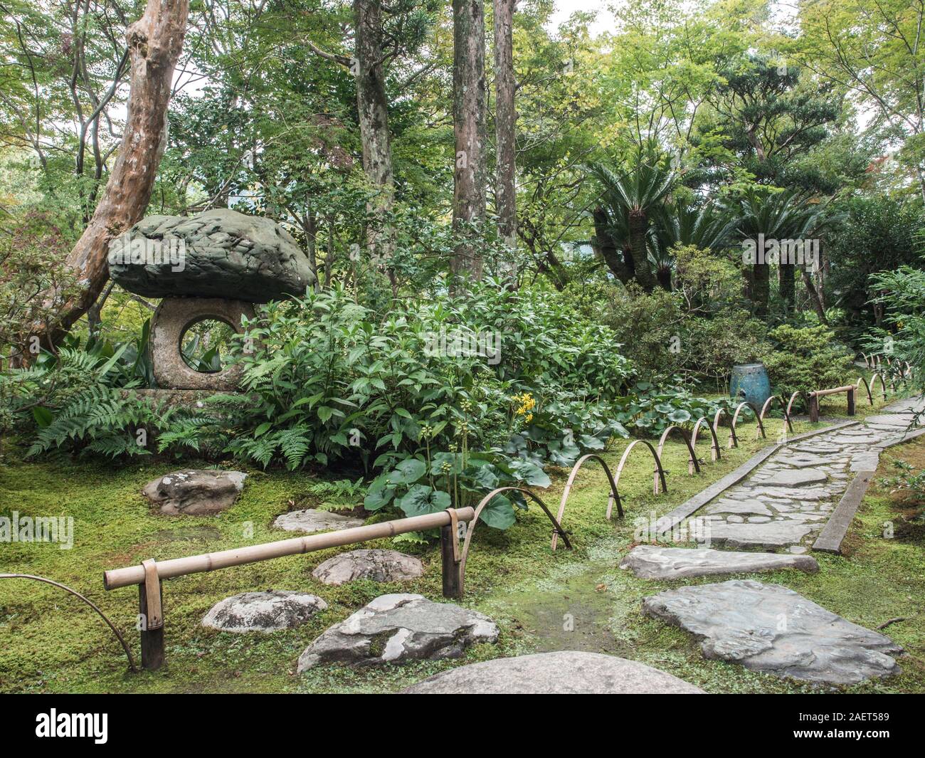 Japanese garden, moss, bamboo curved fence, tobi-ishi stepping stone ...